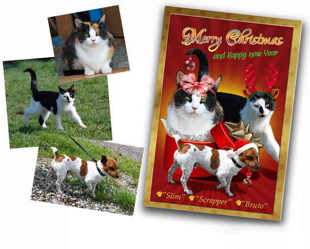 Extra Complex Christmas Photo Editing